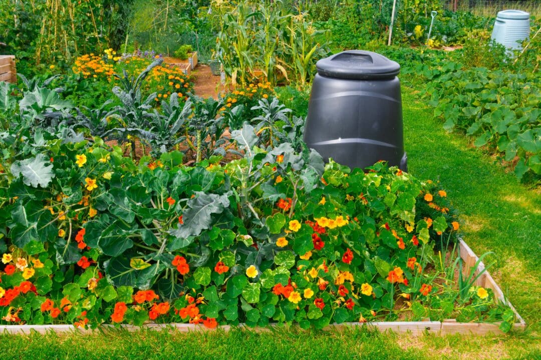 Best Compost Bins UK 2025: Top Picks for Every Garden