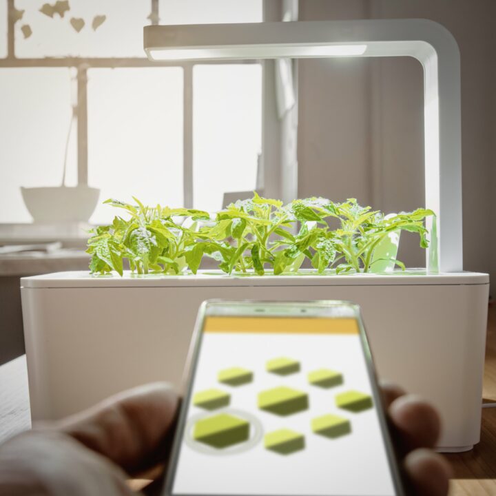 Indoor Smart Garden